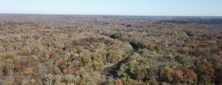 Stakeholders hope to help Hatchie River – Brownsville States-Graphic