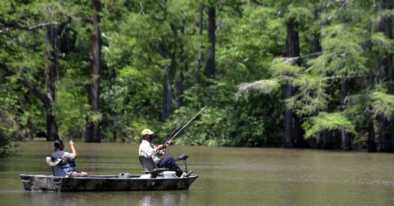 Wildlife Resources negotiating to buy thousands of acres in Hatchie ...